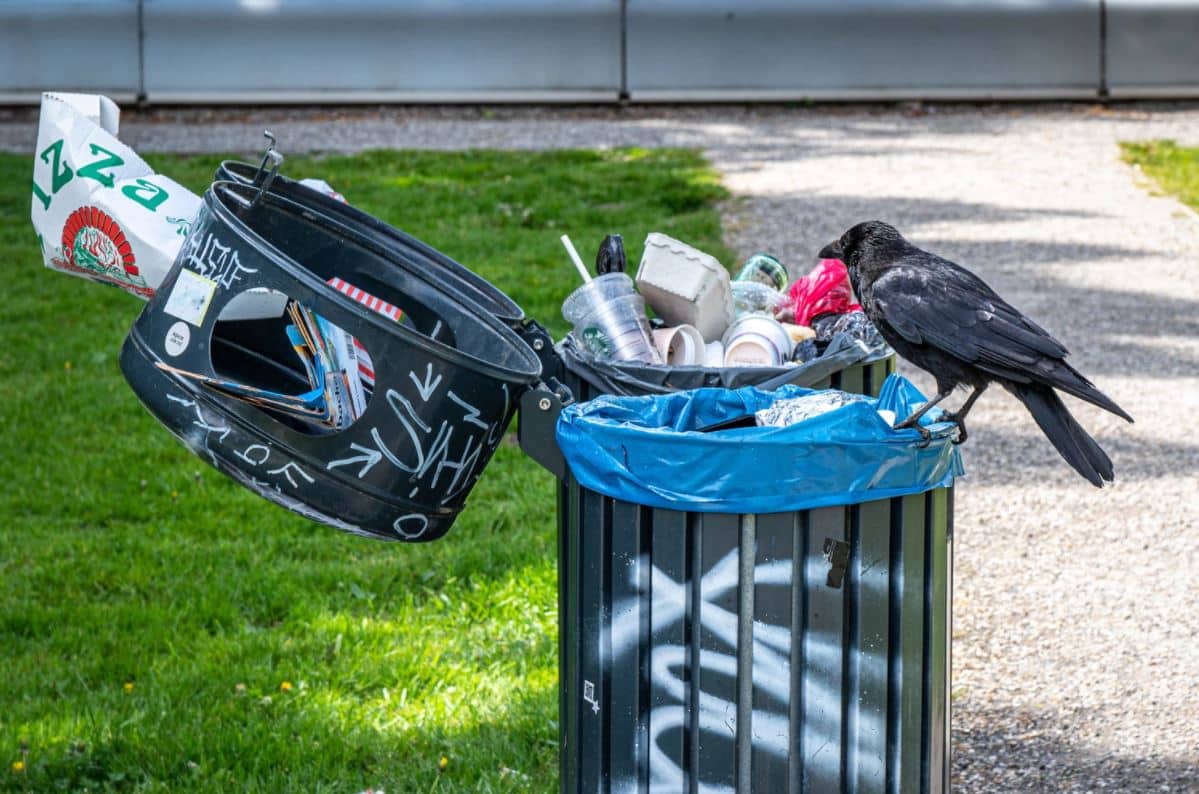 Waste Reduction: Why It’s Important - RocketNews